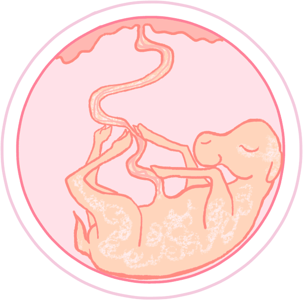 Sheep Care - Patchwork Sheep